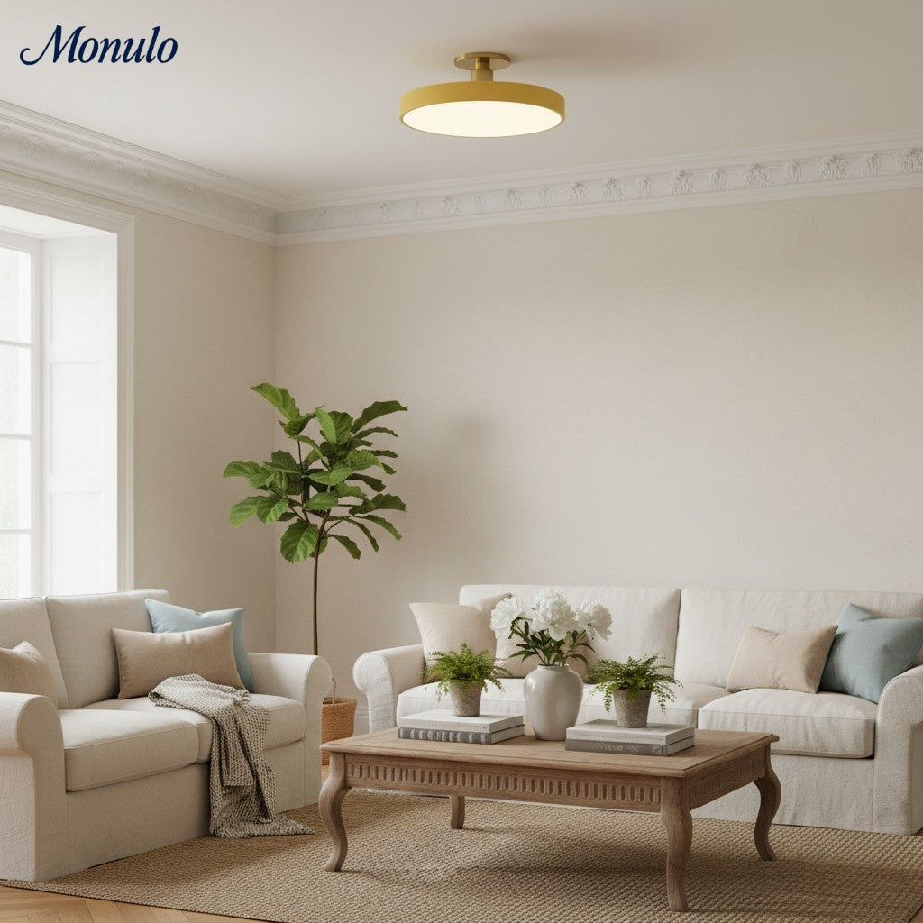 Lumiflexa Round Minimalist Flush Mount Ceiling Light - Contemporary De ...