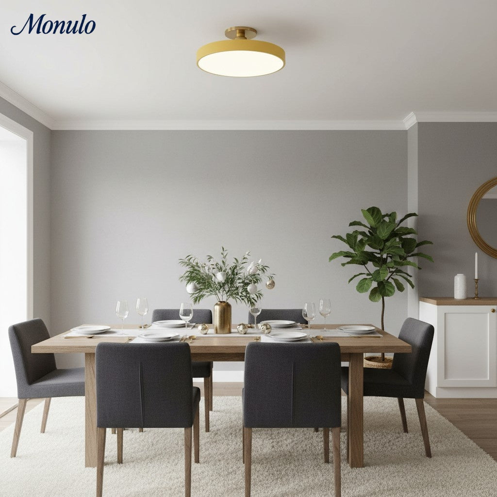 Lumiflexa Round Minimalist Flush Mount Ceiling Light - Contemporary De ...